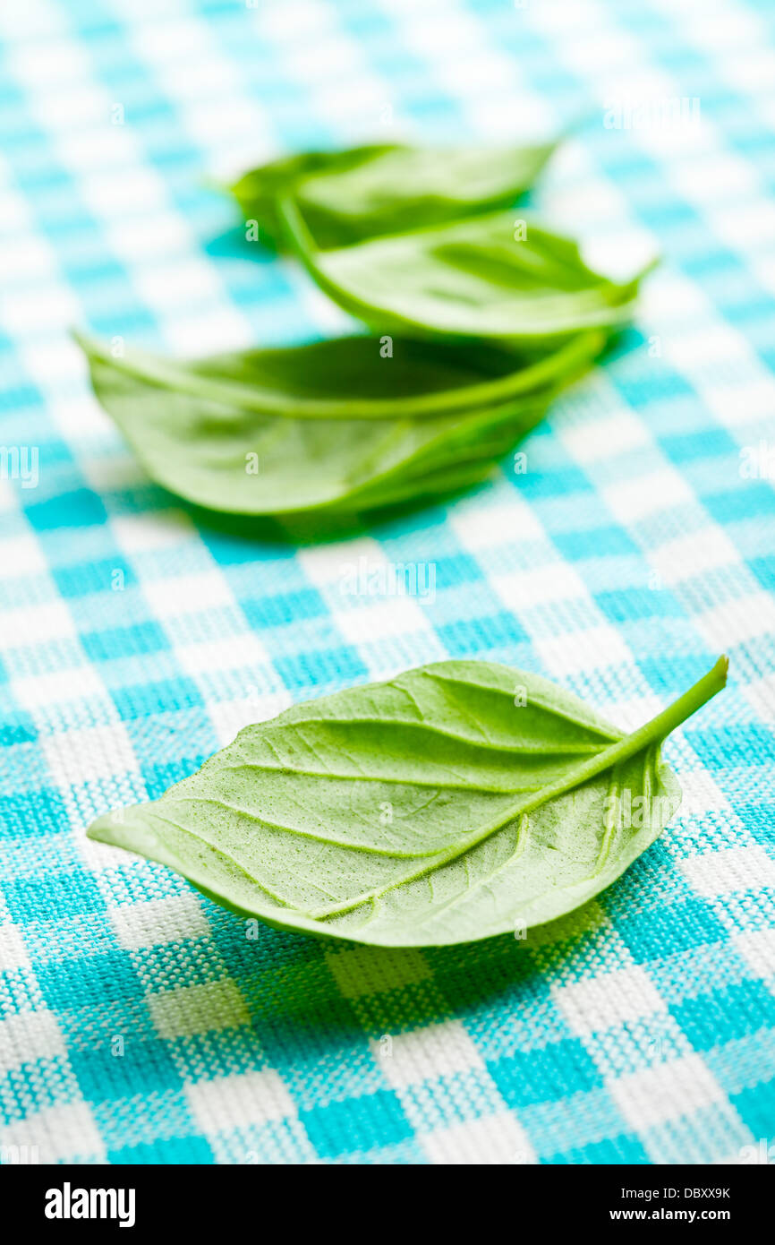 the basil leaves on kitchen table Stock Photo - Alamy