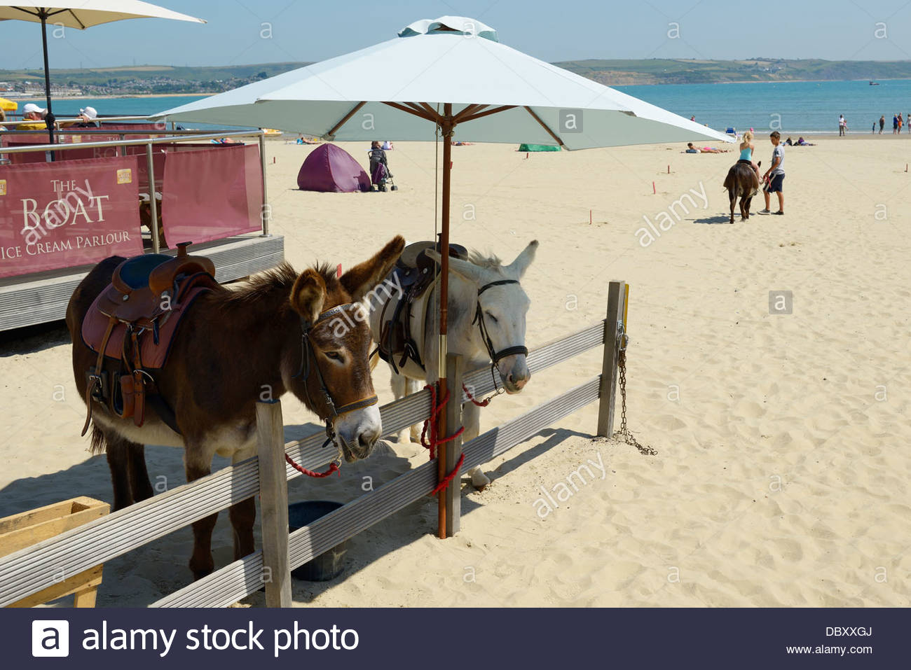 Beach Donkeys Stock Photos & Beach Donkeys Stock Images - Alamy