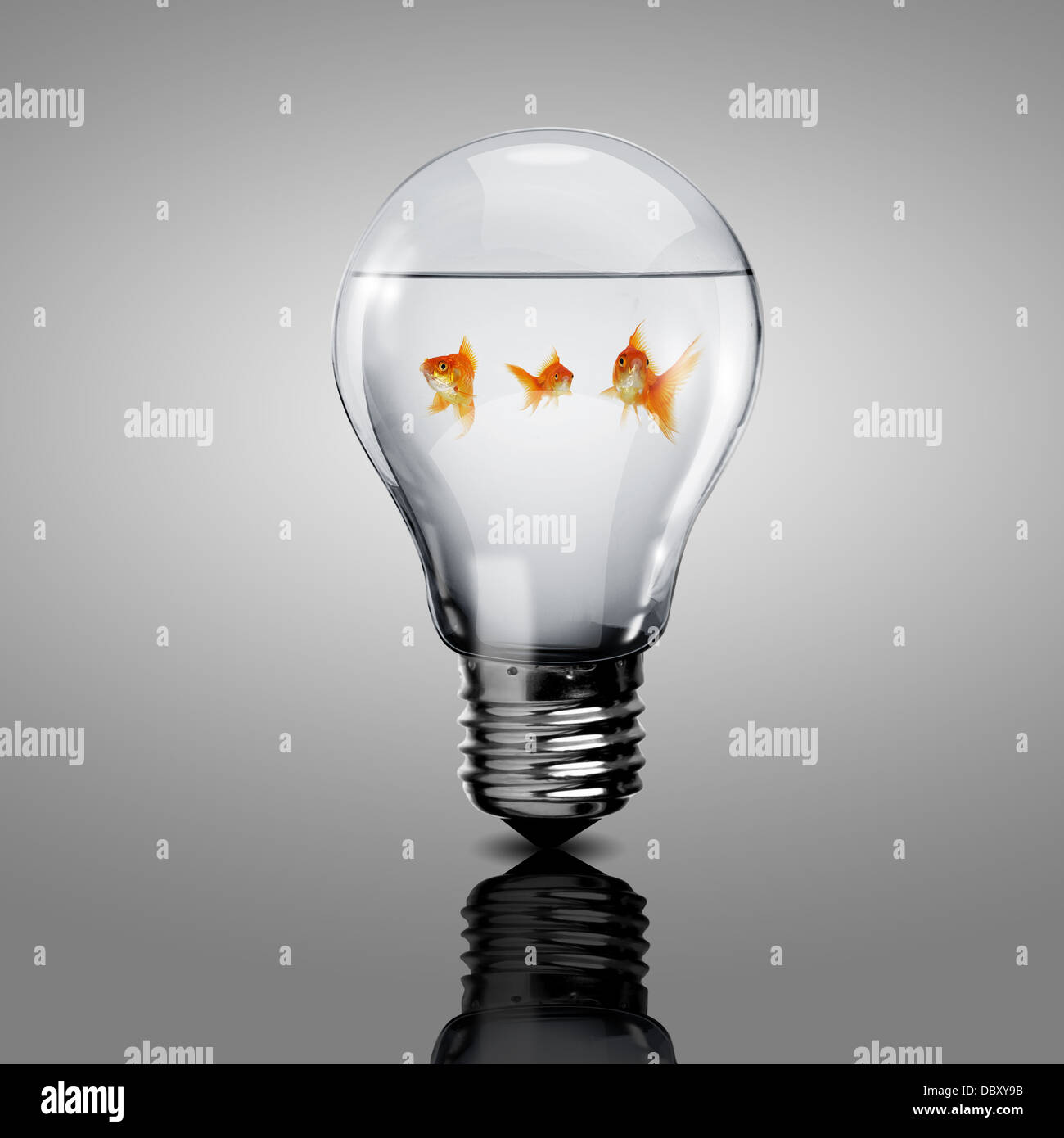 Fish lightbulb concept hi-res stock photography and images - Alamy
