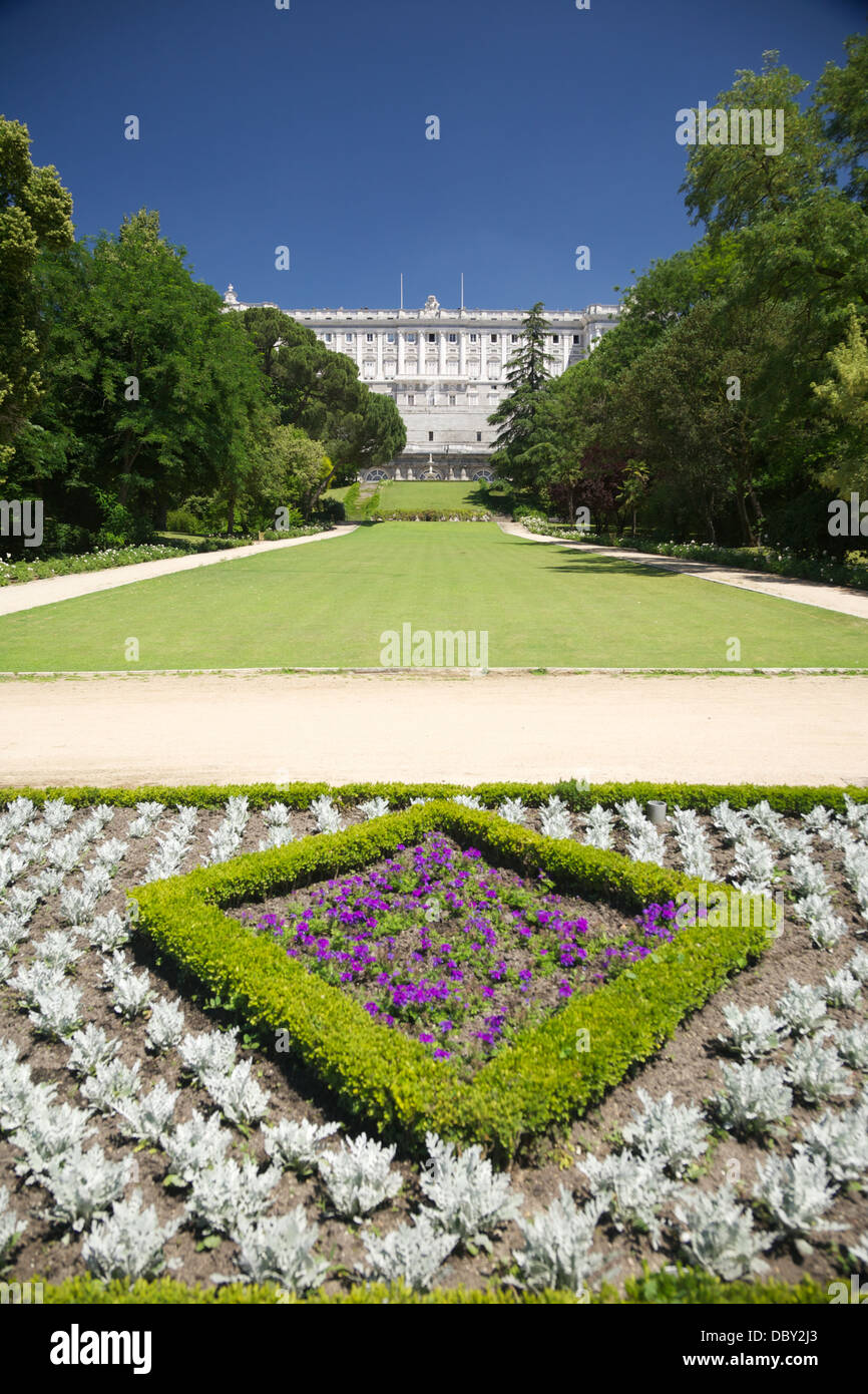 Rhombus plant hi-res stock photography and images - Alamy