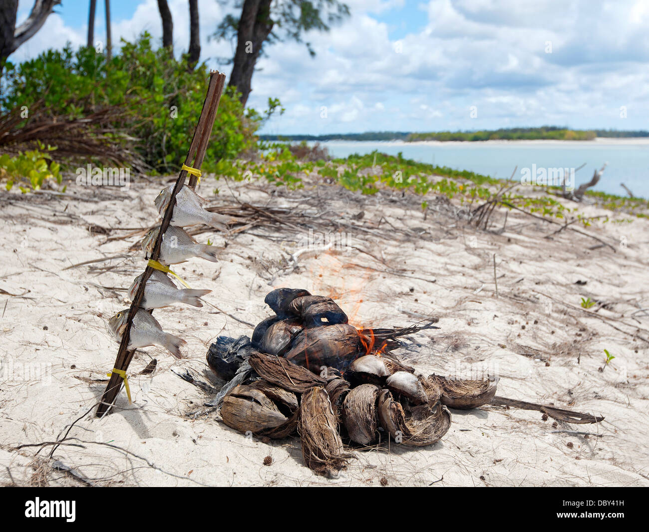 Mafia island fish hi-res stock photography and images - Alamy