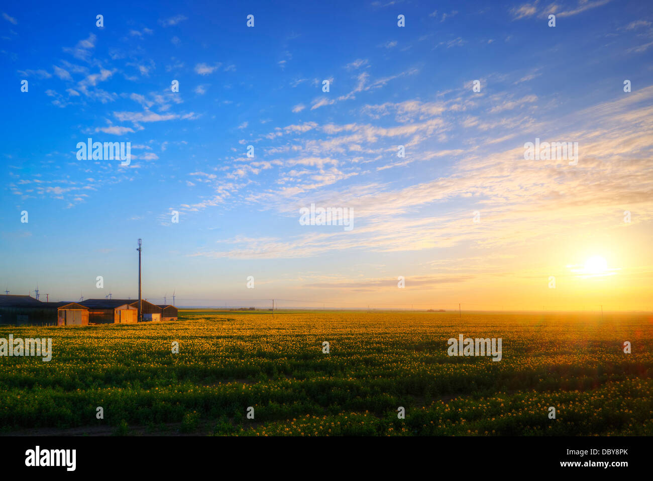 Sunrise agriculture hi-res stock photography and images - Alamy