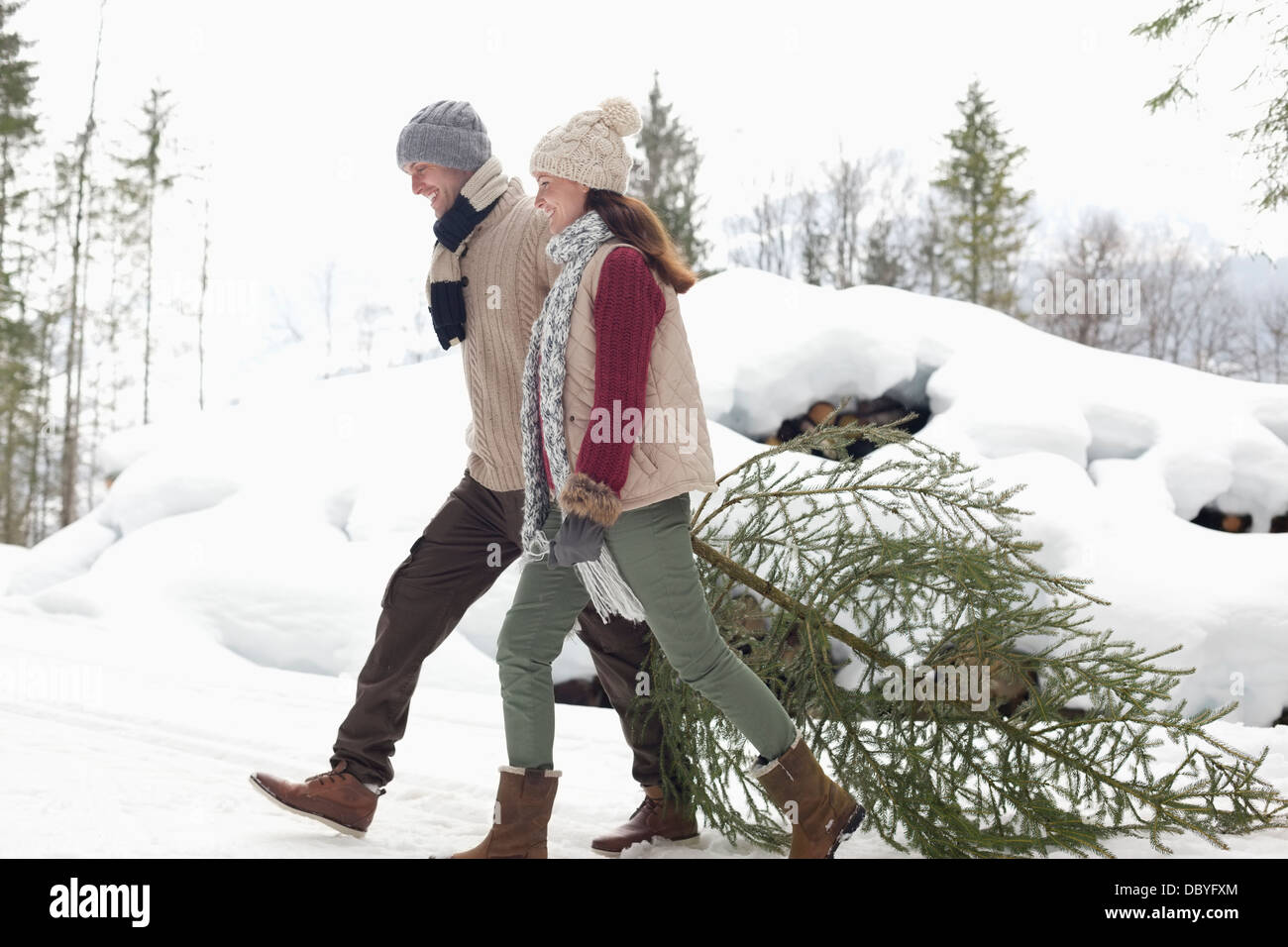 Man Dragging Christmas Tree In High Resolution Stock Photography and ...