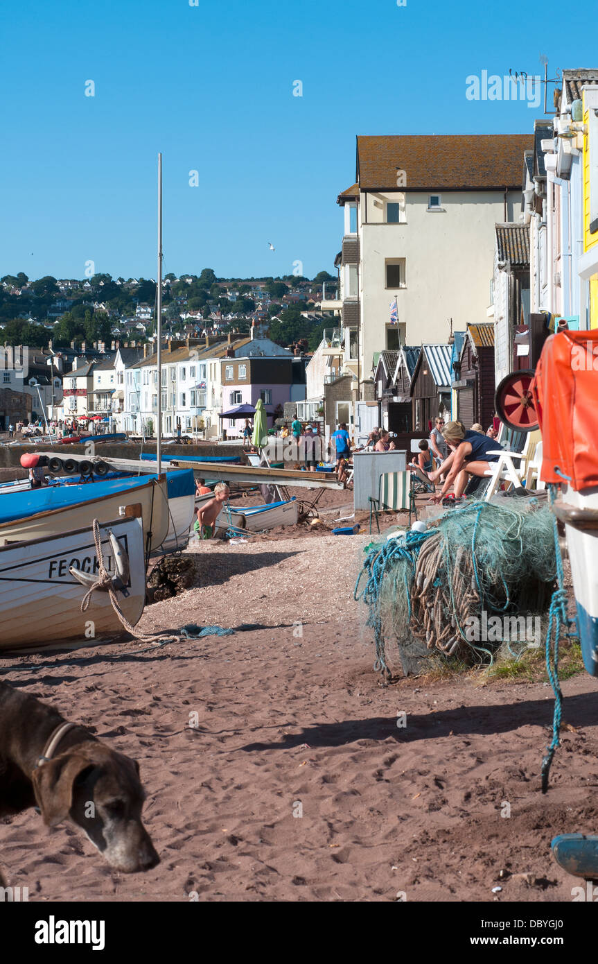 Teignmouth back beach hi-res stock photography and images - Alamy
