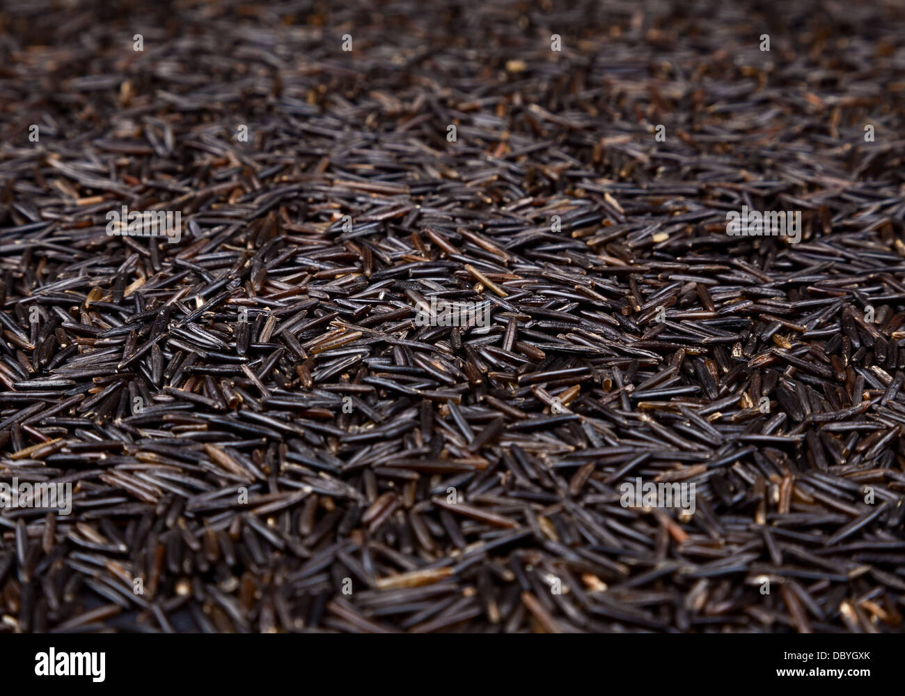 Black rice field hi-res stock photography and images - Alamy