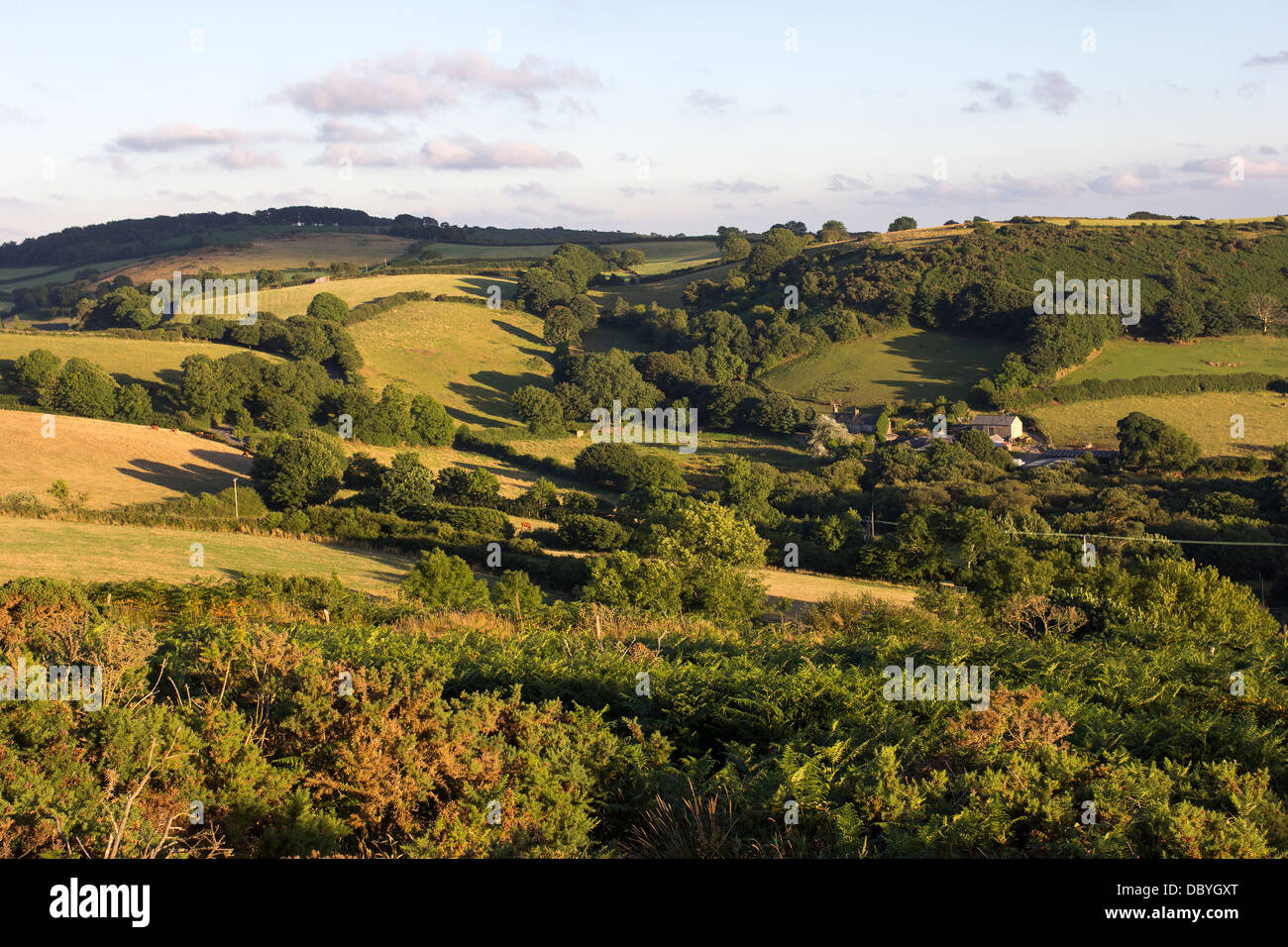 hedgerows,devon,moorland,mardon down,farmer on tractor, united kingdom ...