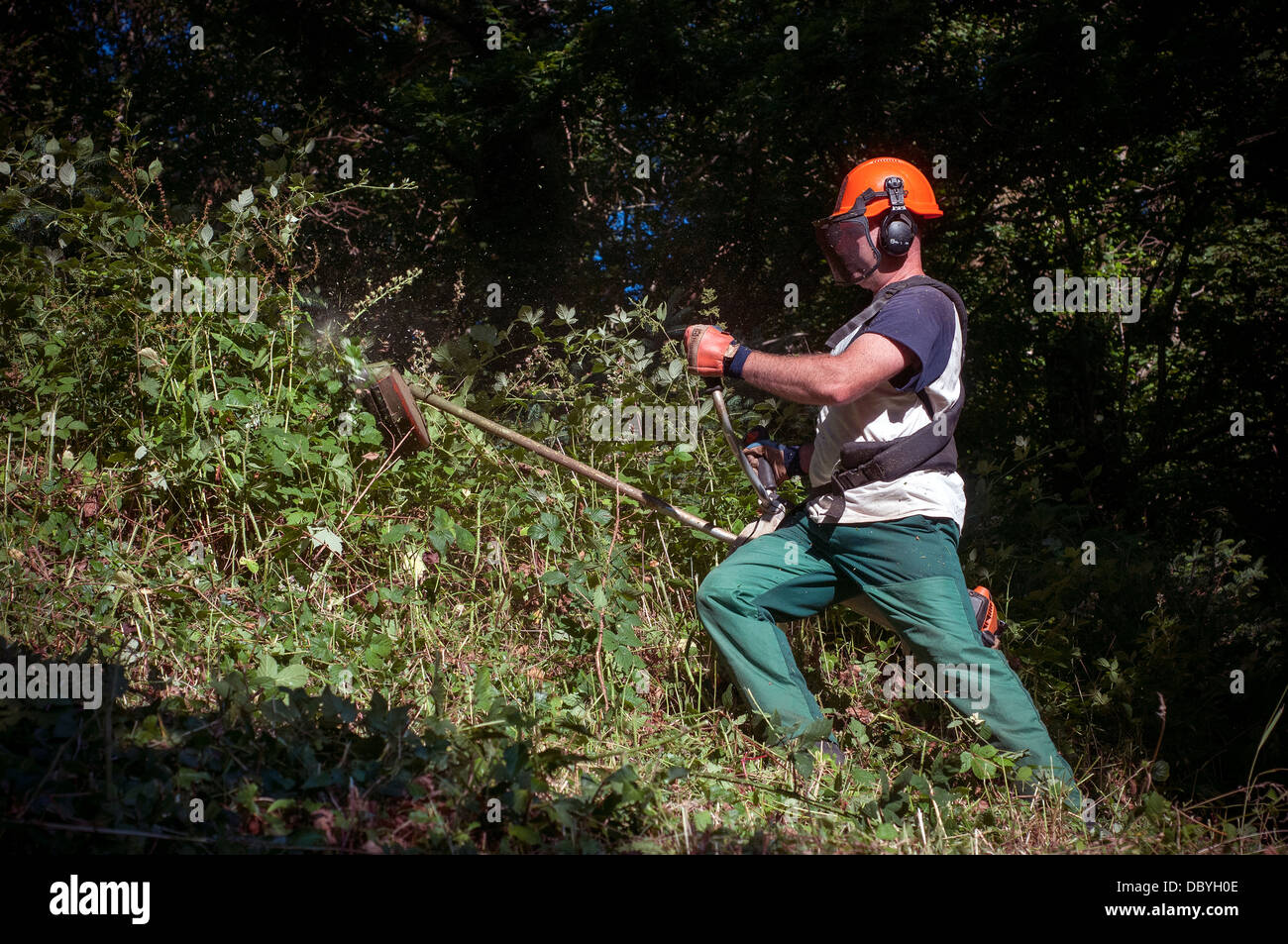 strimming,safety equipment,strimmer,strimmers,farmer, united kingdom ...