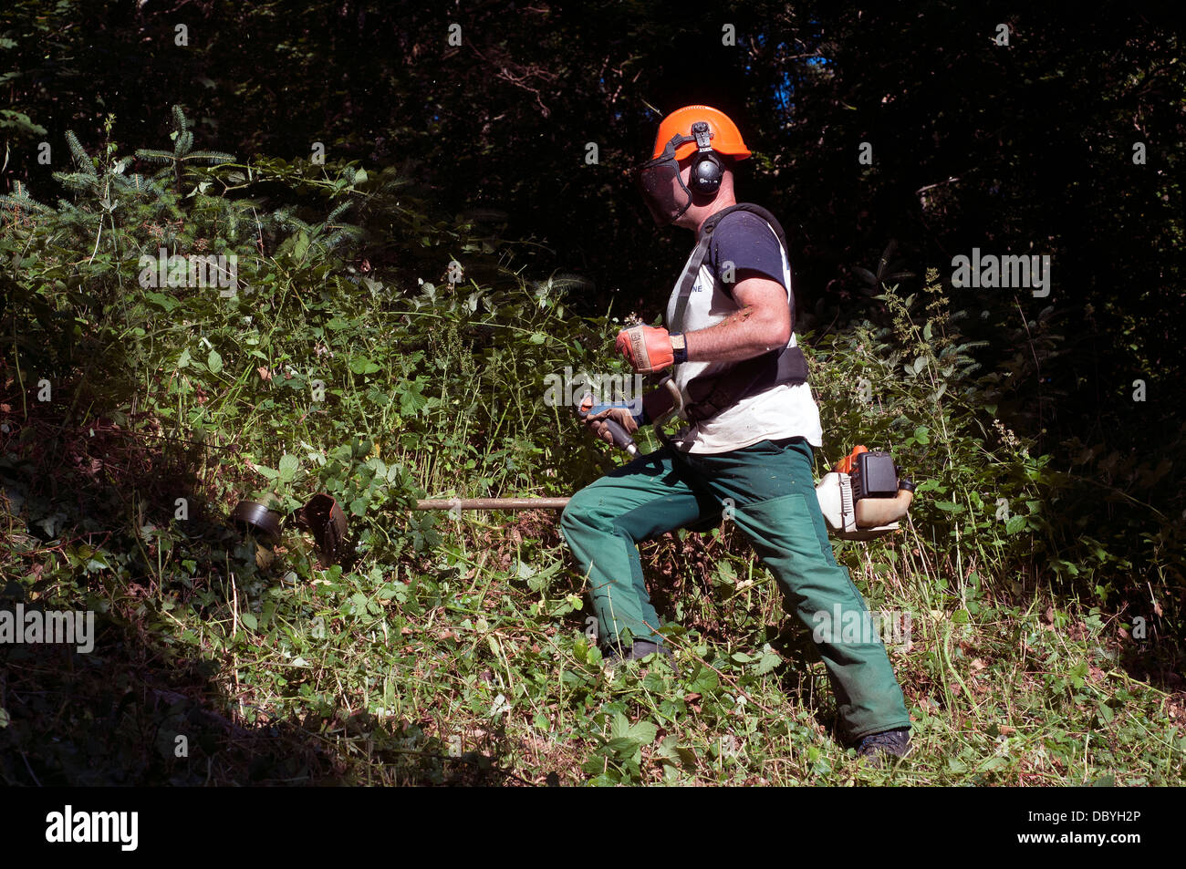 strimming,safety equipment,strimmer,strimmers, backyard, blue, close-up ...