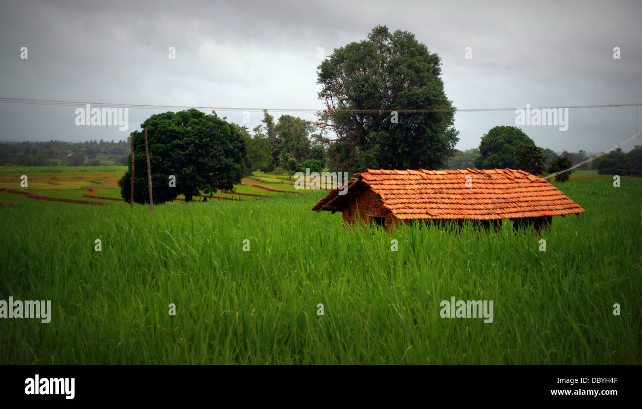 Hut in a farm Stock Photo - Alamy
