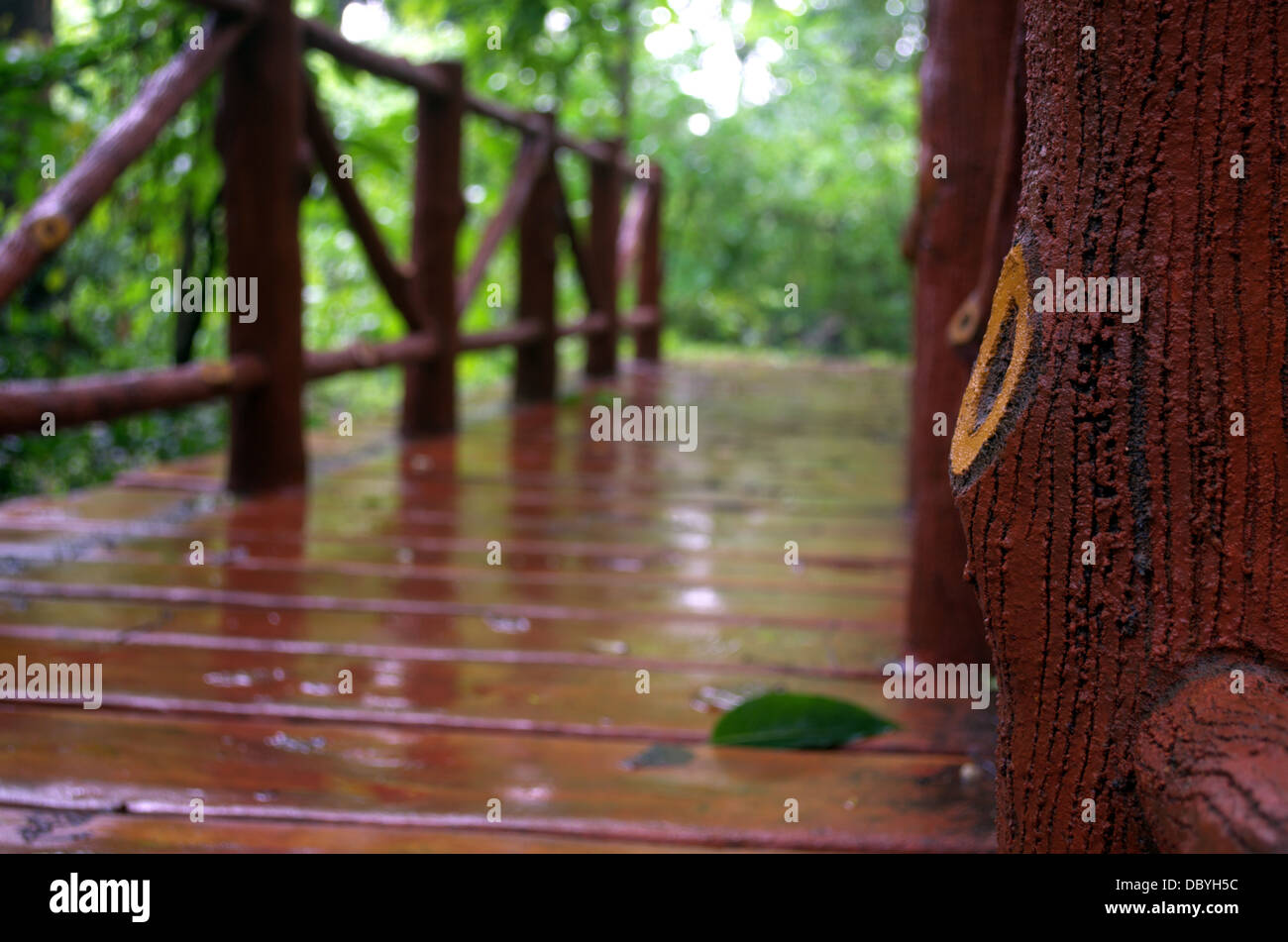 Wood log bridge hi-res stock photography and images - Alamy