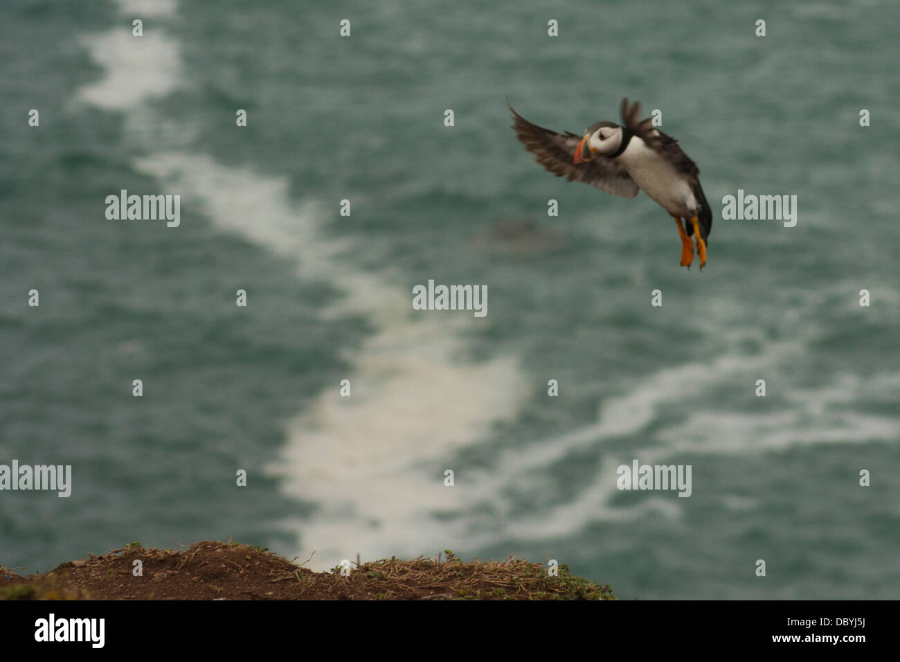 Bill wick hi-res stock photography and images - Alamy