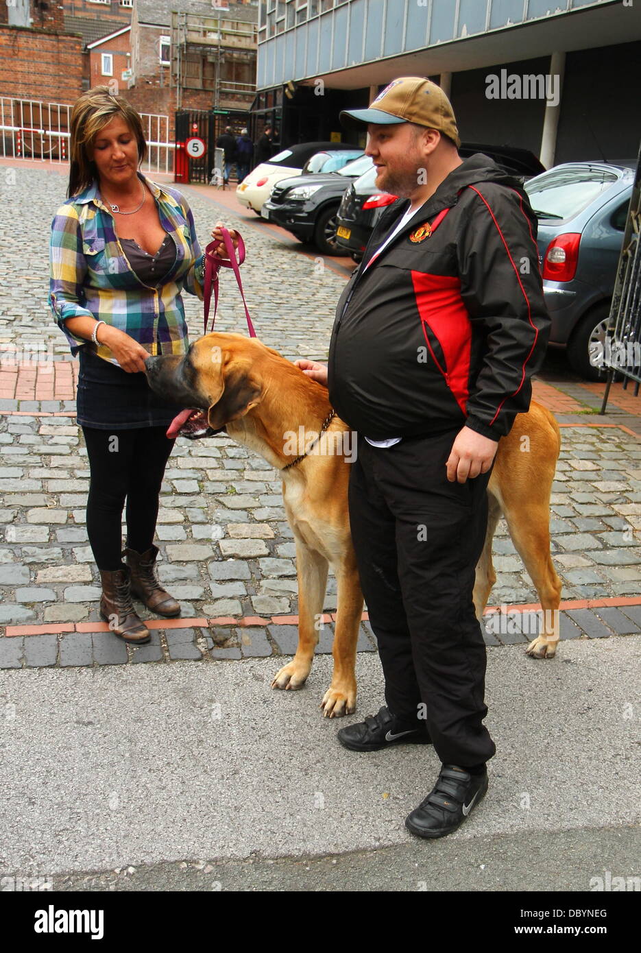 Great Dane Manchester
