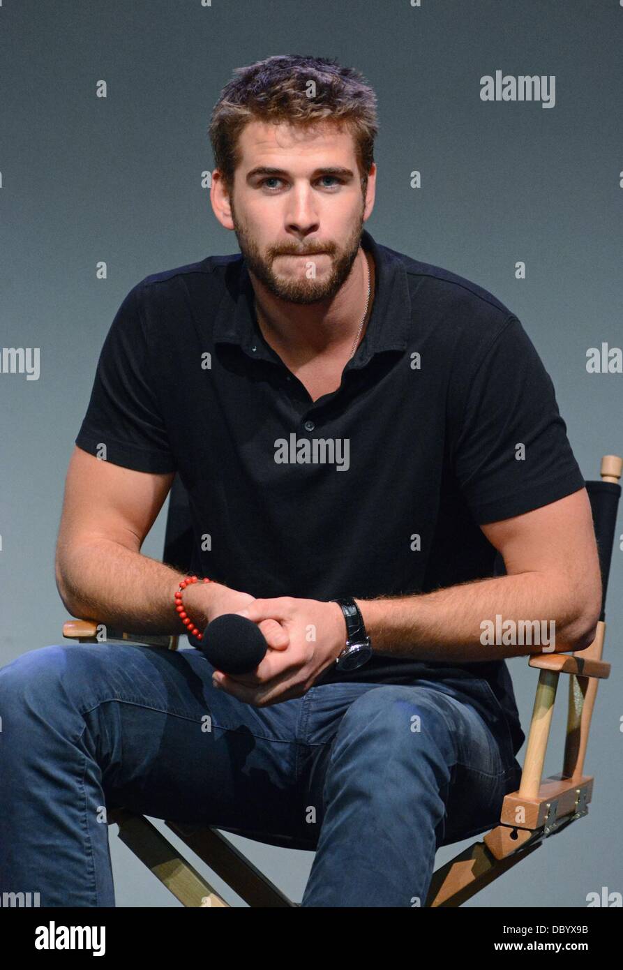New York, NY. 5th Aug, 2013. Liam Hemsworth in attendance for Meet the ...