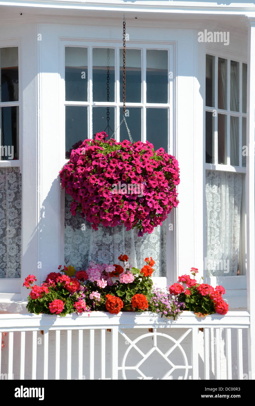 Floral window displays Stock Photo - Alamy