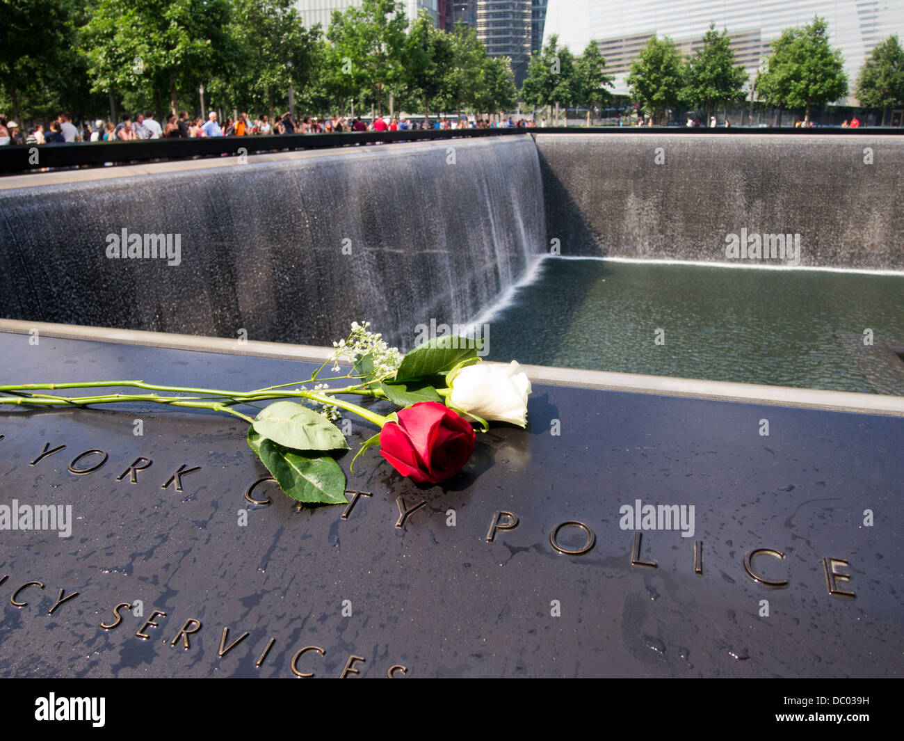 Red and White Rose on reflecting pools, New York City Stock Photo - Alamy