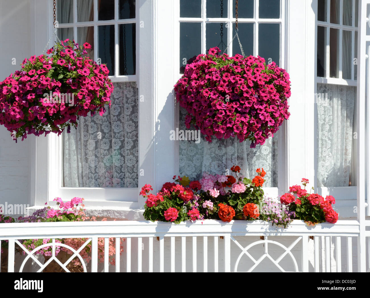 Floral window displays Stock Photo - Alamy