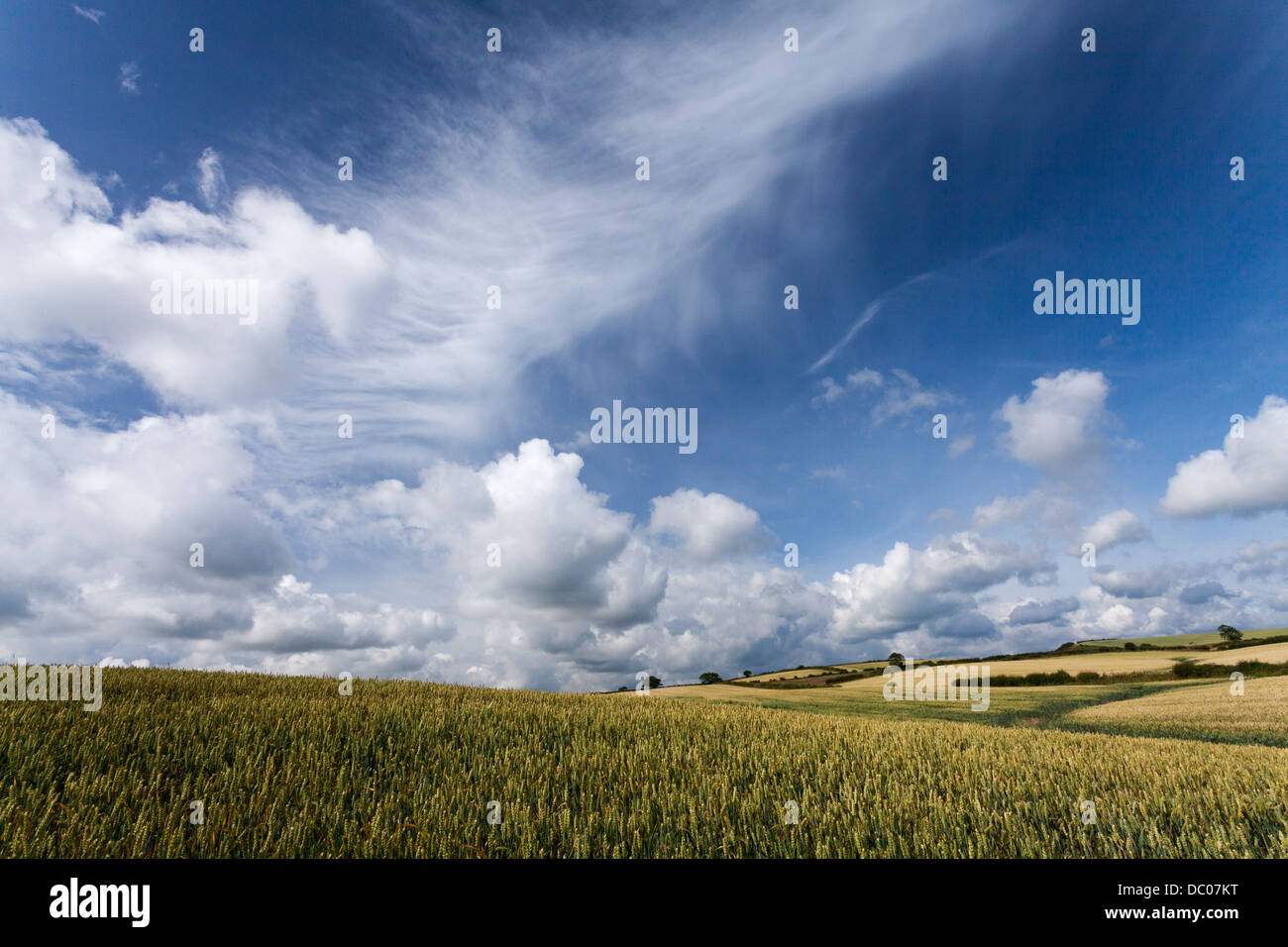 Cumulus clouds distance hi-res stock photography and images - Alamy