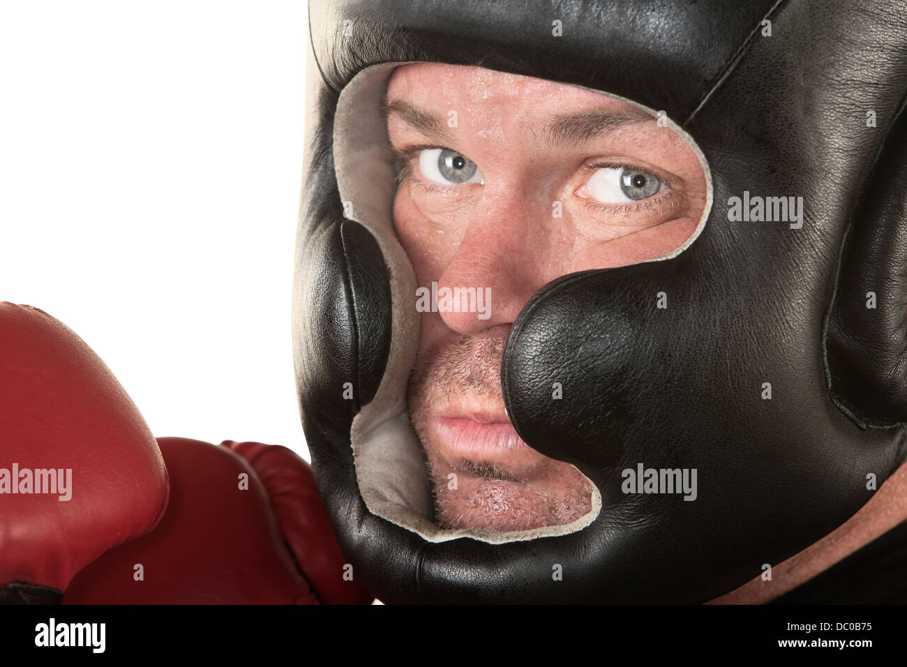Serious Boxer Close Up Stock Photo - Alamy