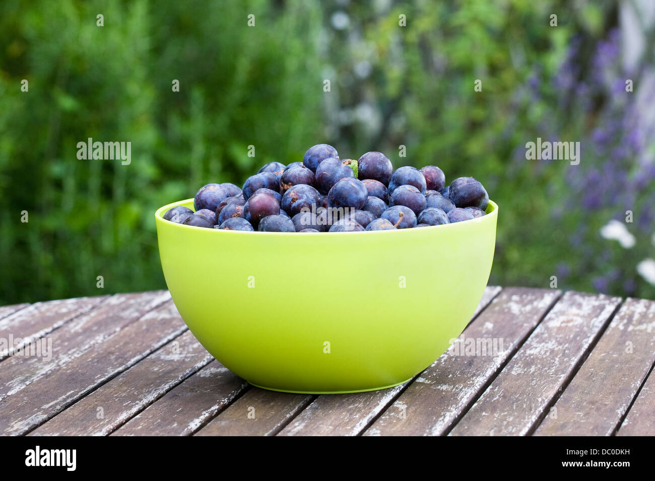 Quetsche High Resolution Stock Photography and Images - Alamy