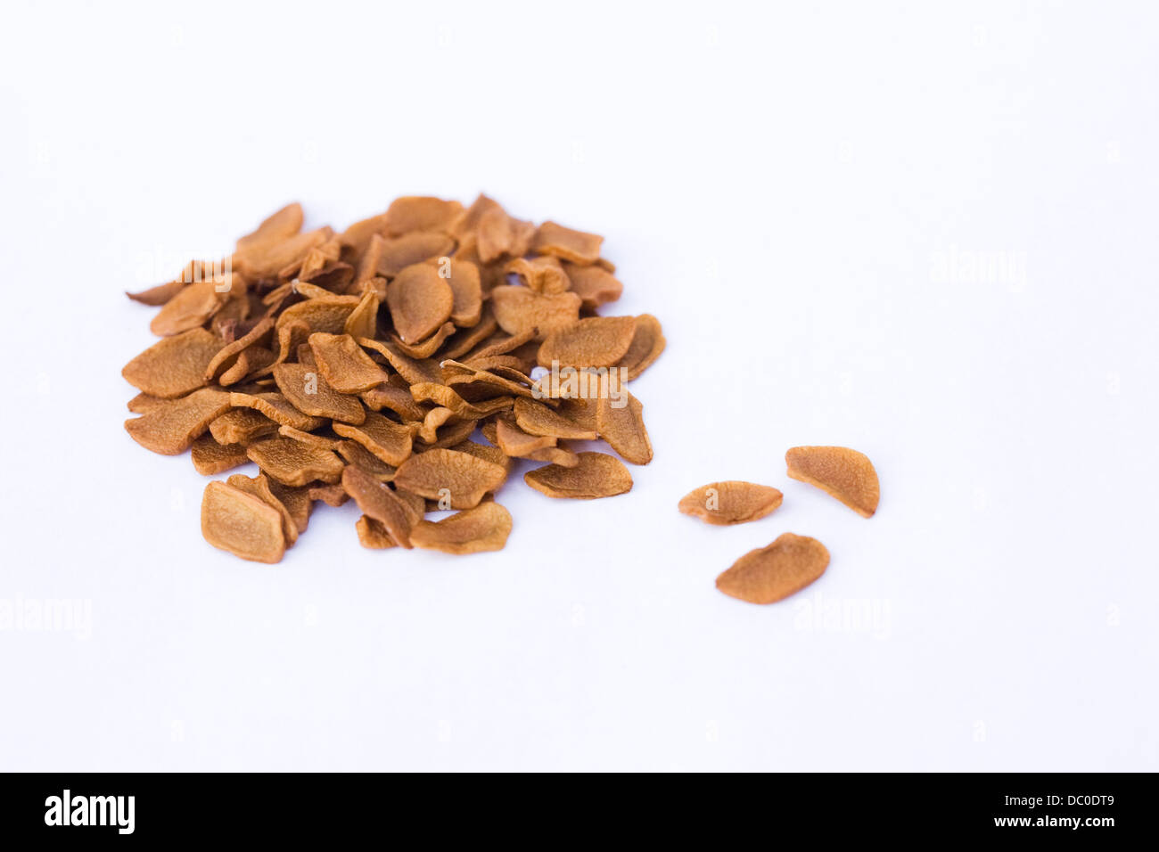 Large brown seeds hi-res stock photography and images - Alamy