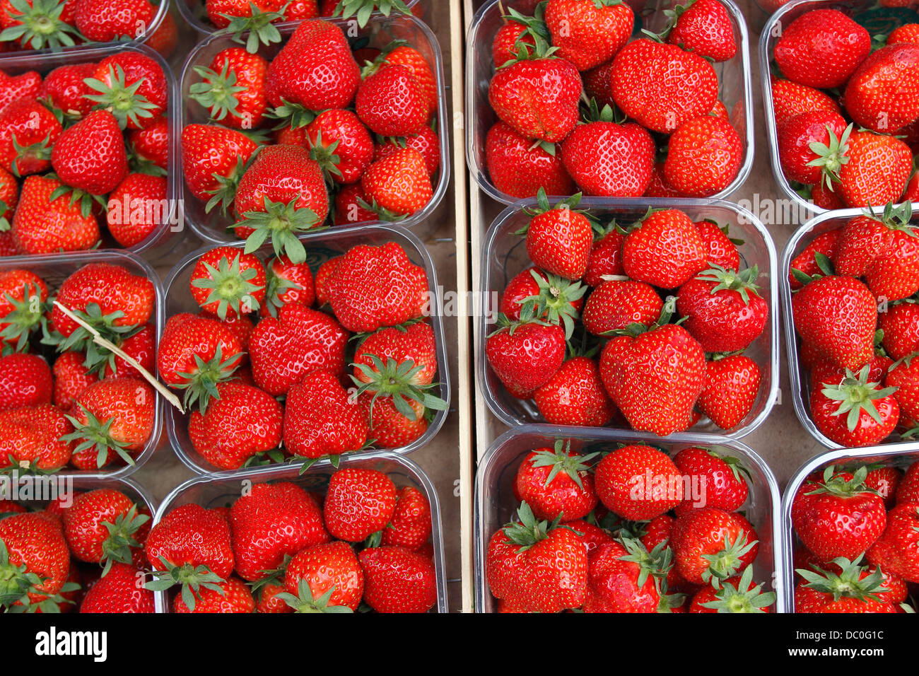 Strawberrys hi-res stock photography and images - Alamy