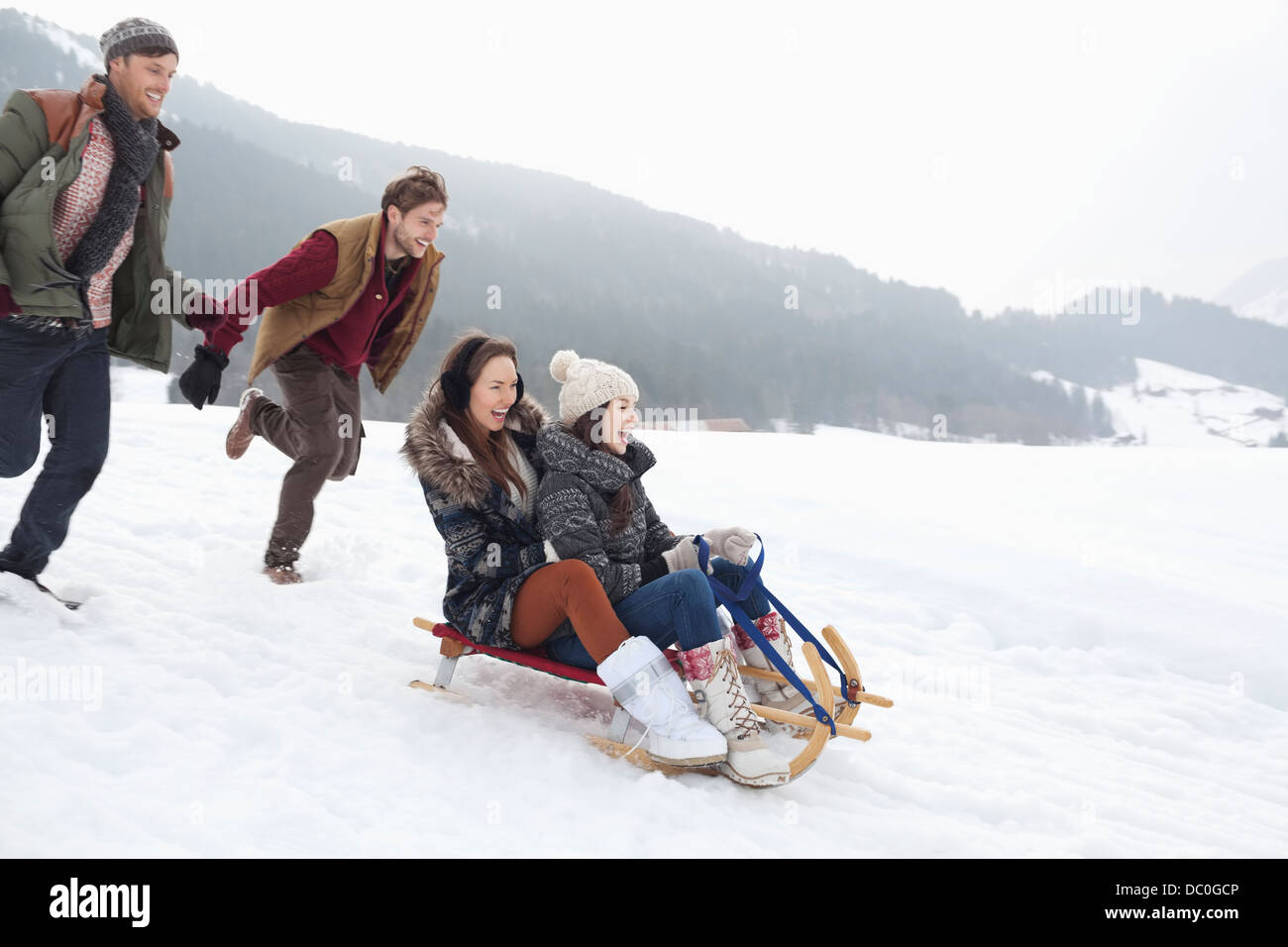 Sled companion hi-res stock photography and images - Alamy