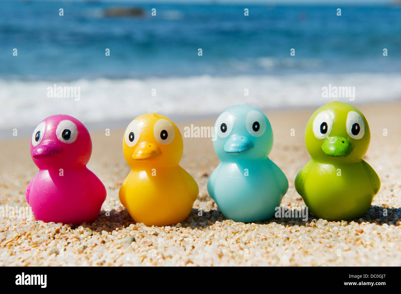 Ducks in the sand hi-res stock photography and images - Alamy