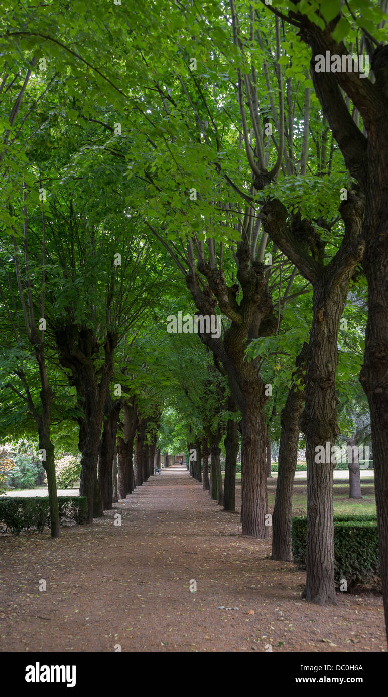 Avenue of trees, Picpus cemetery, Paris, burial place of guillotine ...