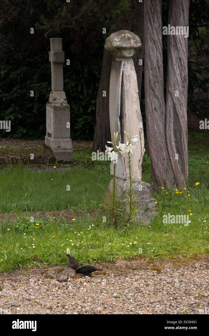 Robespierre guillotine hi-res stock photography and images - Alamy