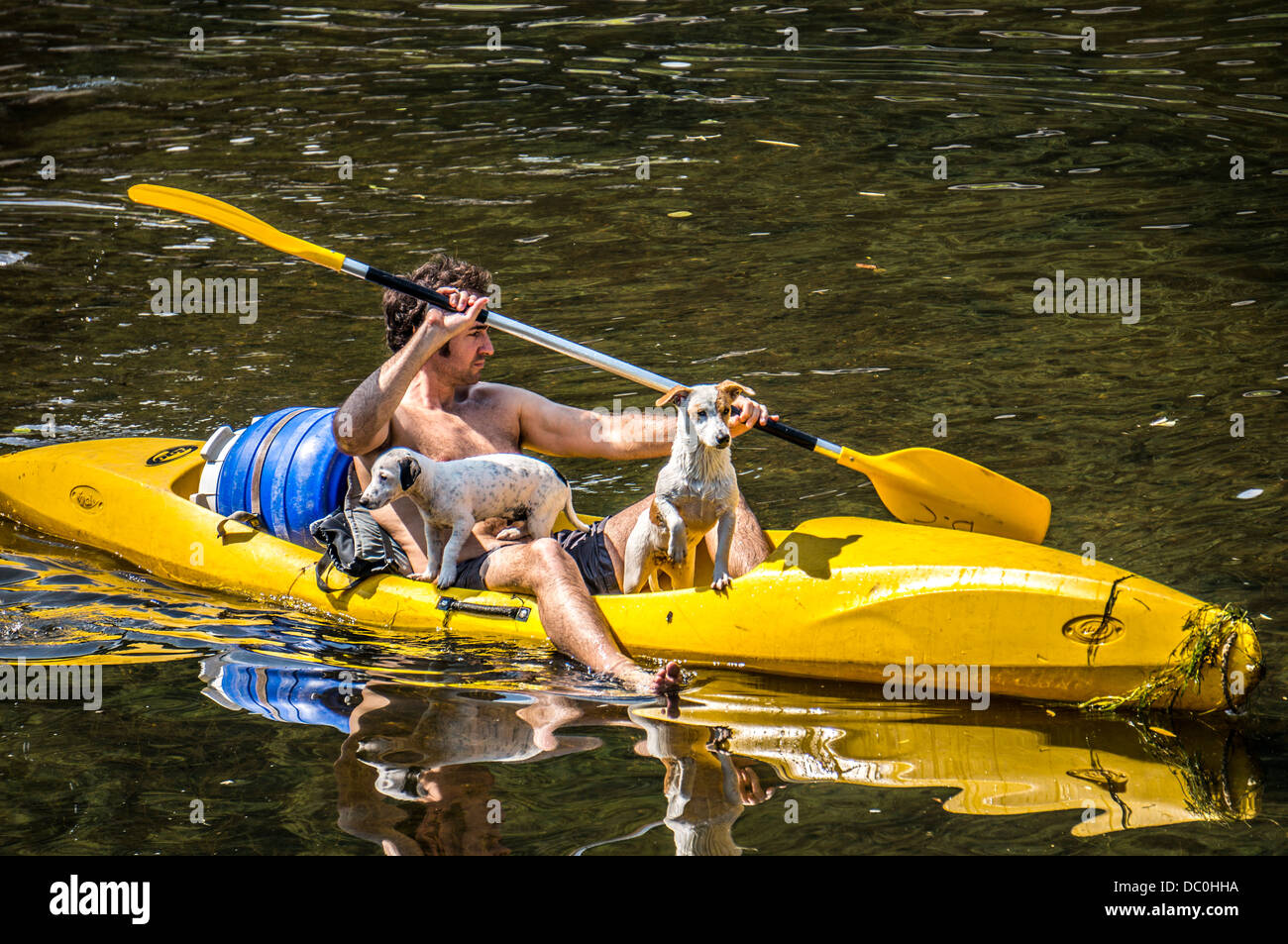 Man and dogs in a hire canoe on the river Dronne in the commune of ...