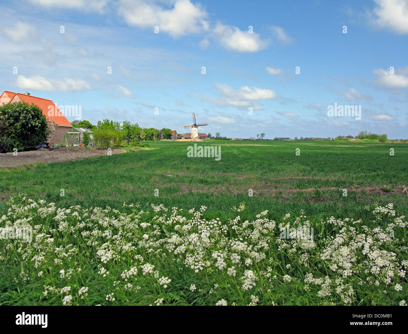 Netherlands Holland Europe Walcheren peninsula North Sea farm with ...