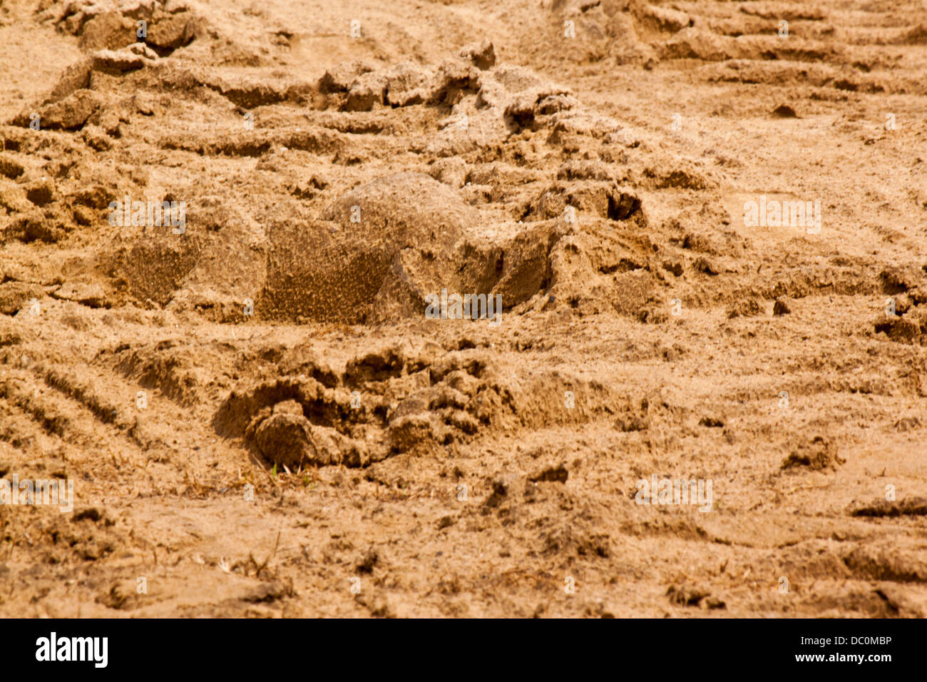 Soft sand texture hi-res stock photography and images - Alamy