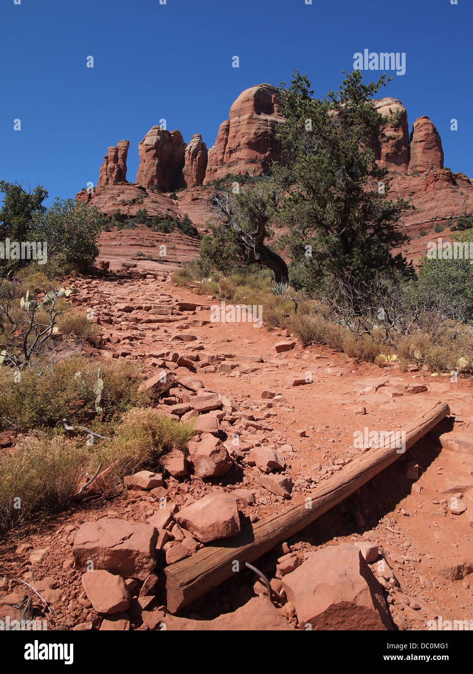 Cathedral Rock trail in Sedona, Arizona, USA Stock Photo - Alamy
