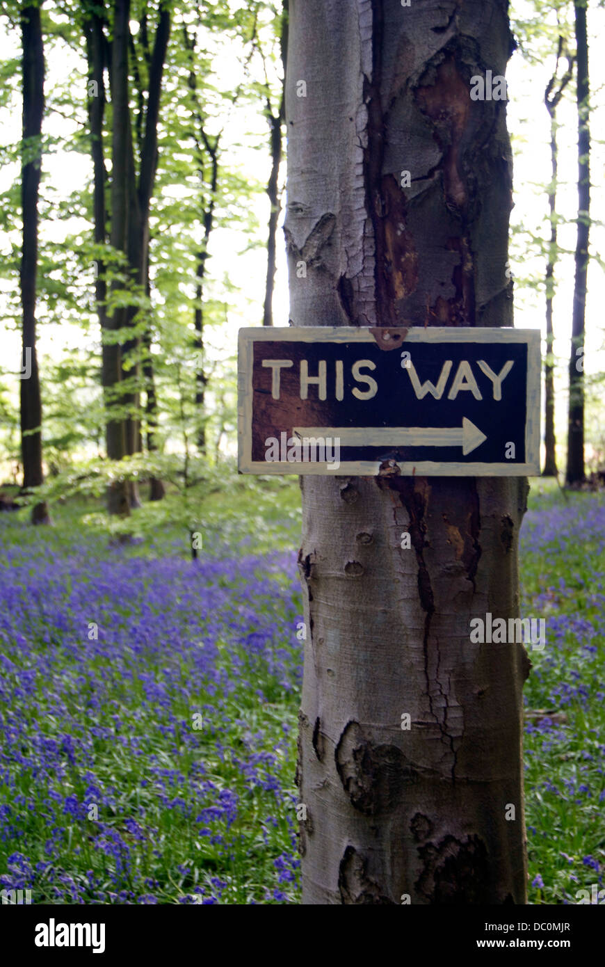 Sign directing visitors 'this way' with an arrow at Coton Manor Gardens ...