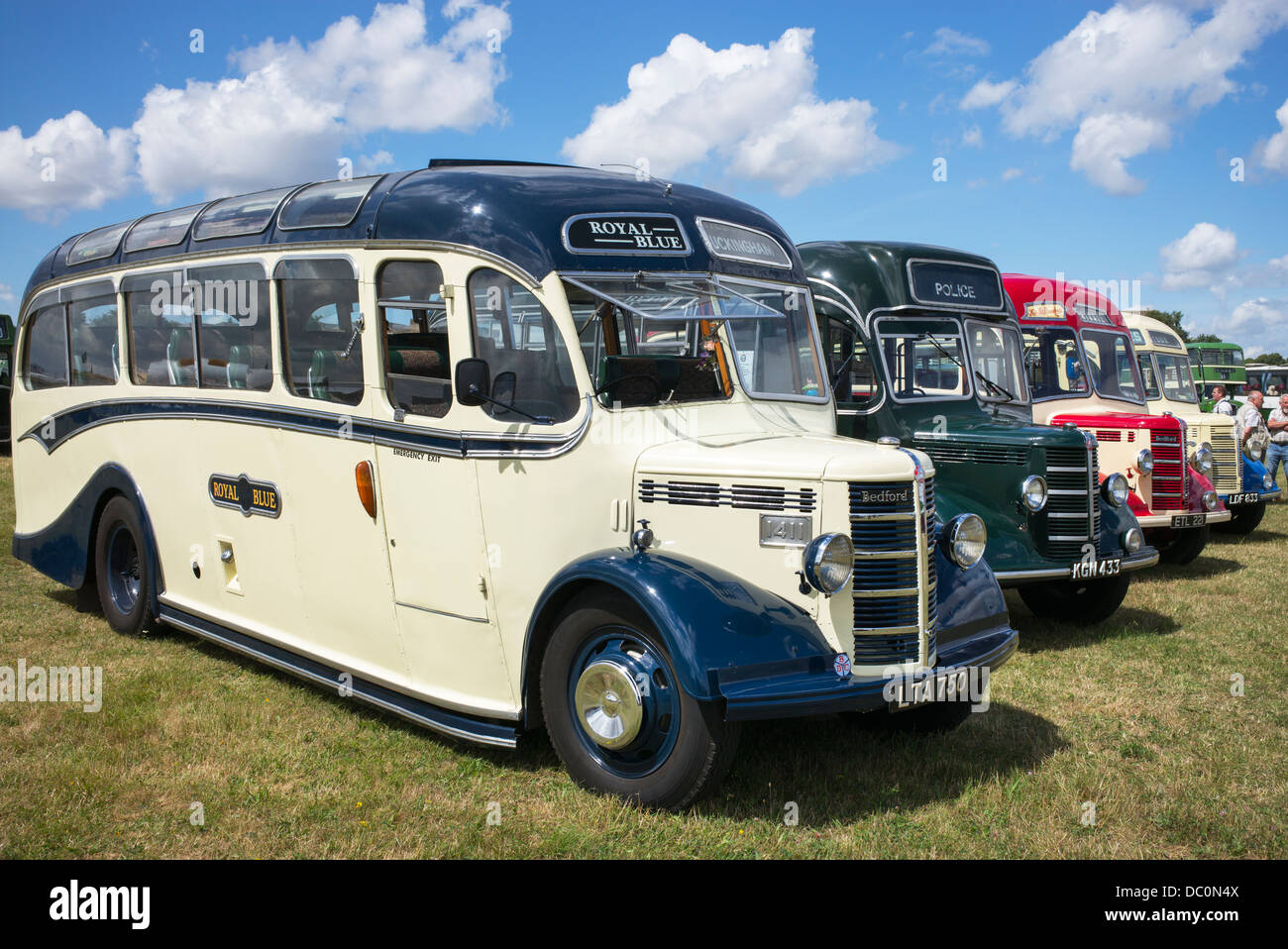 Vintage OB Bedford Coaches at a steam fair in England Stock Photo - Alamy