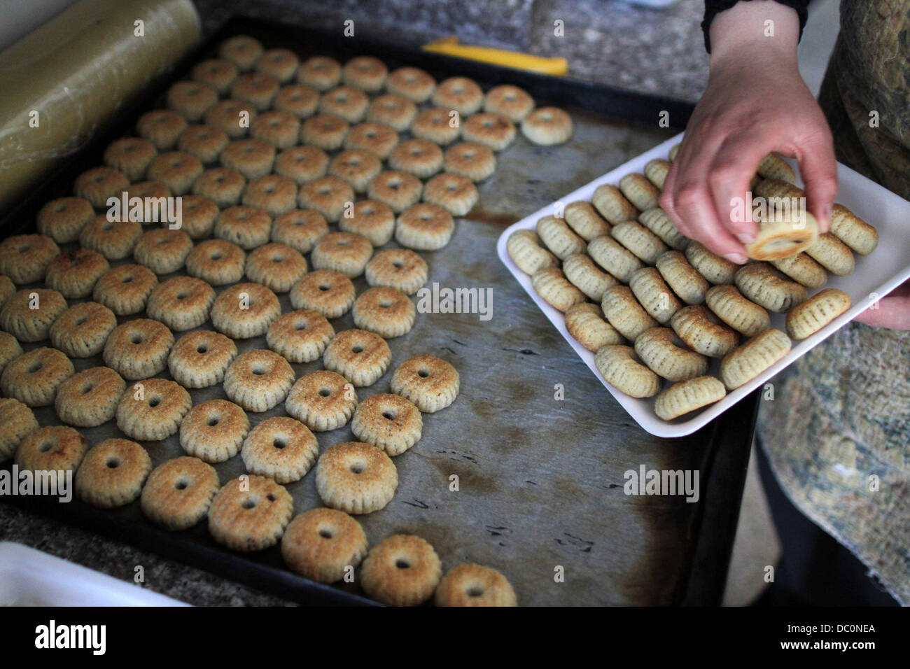 Aug. 6, 2013 - Ramallah, West Bank, Palestinian Territory - A ...