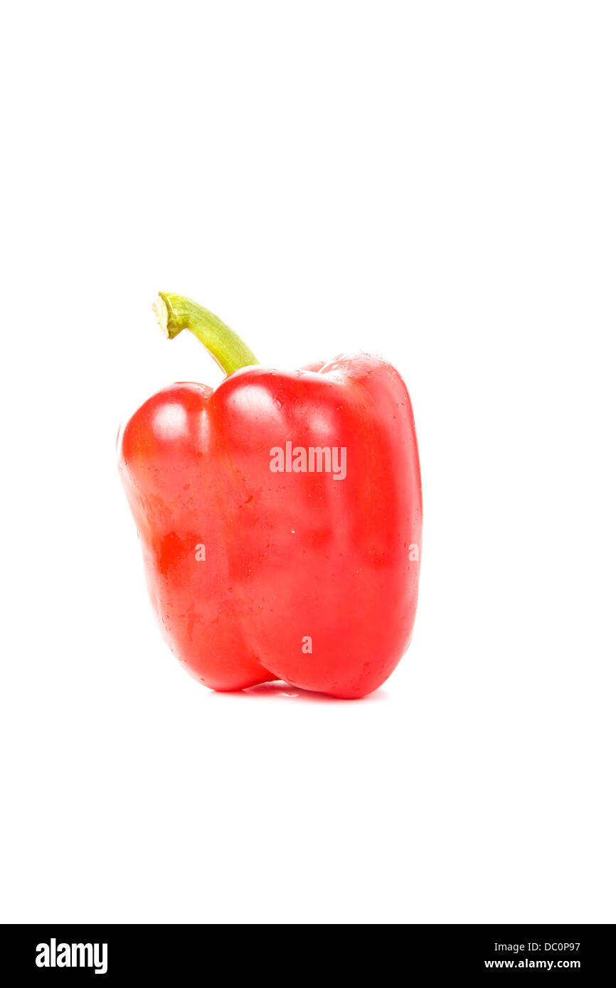 A single red bell pepper on a white background Stock Photo - Alamy