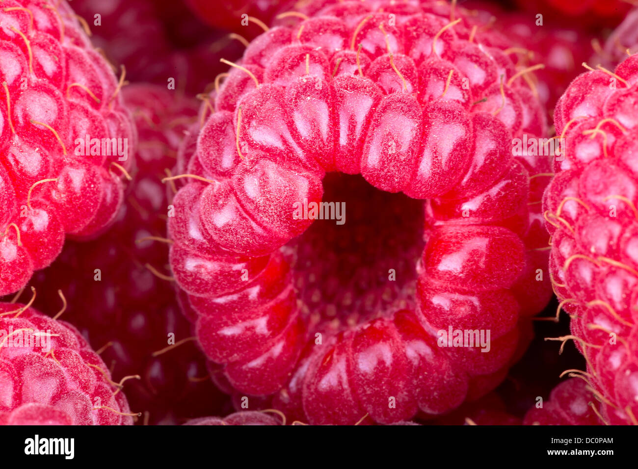 fresh red raspberries a tasty food background Stock Photo - Alamy