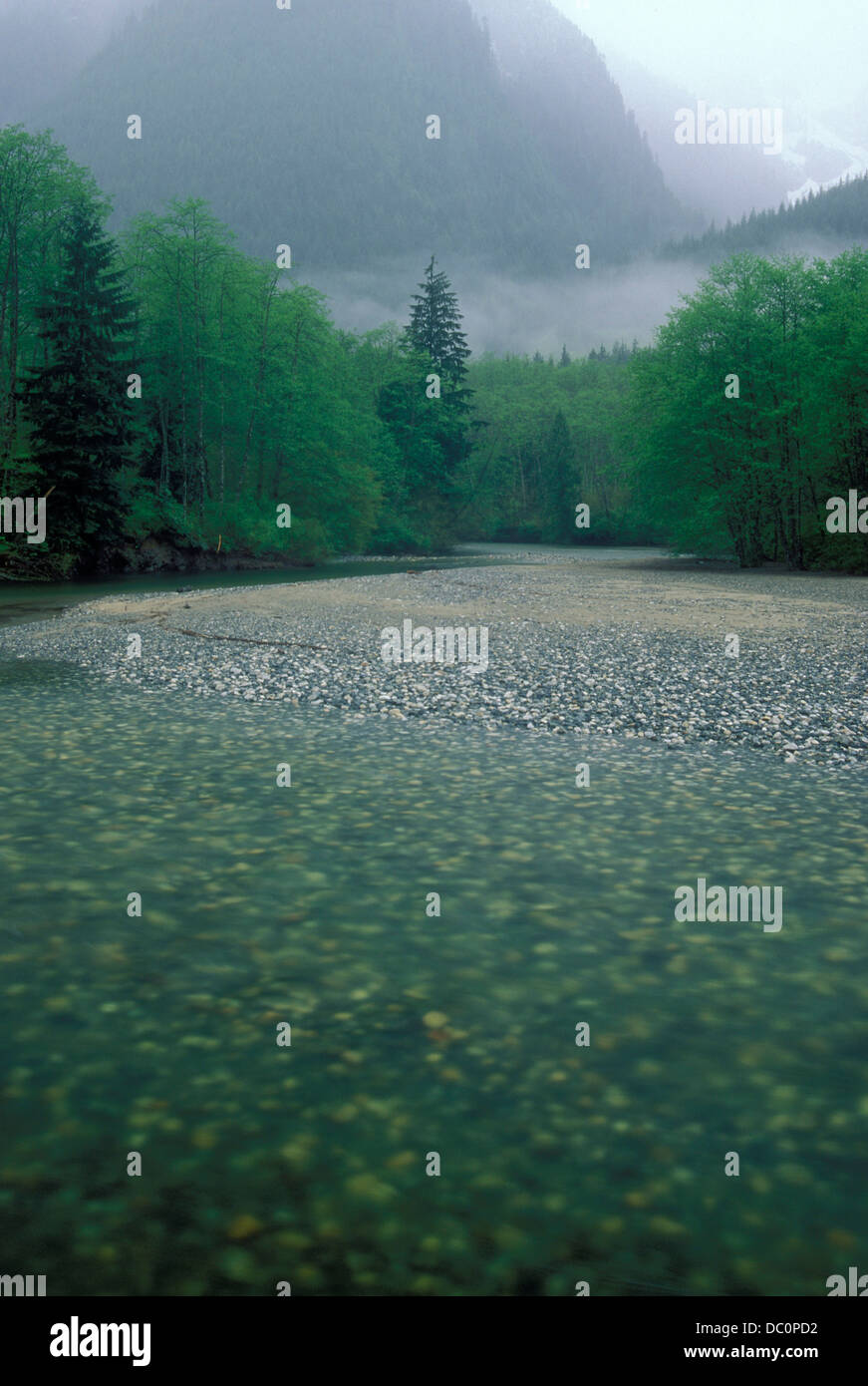 Golden ears park hi-res stock photography and images - Alamy