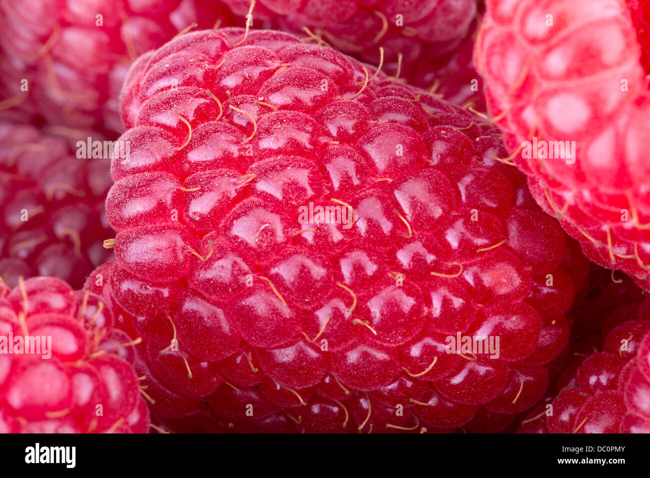 fresh red raspberries a tasty food background Stock Photo - Alamy