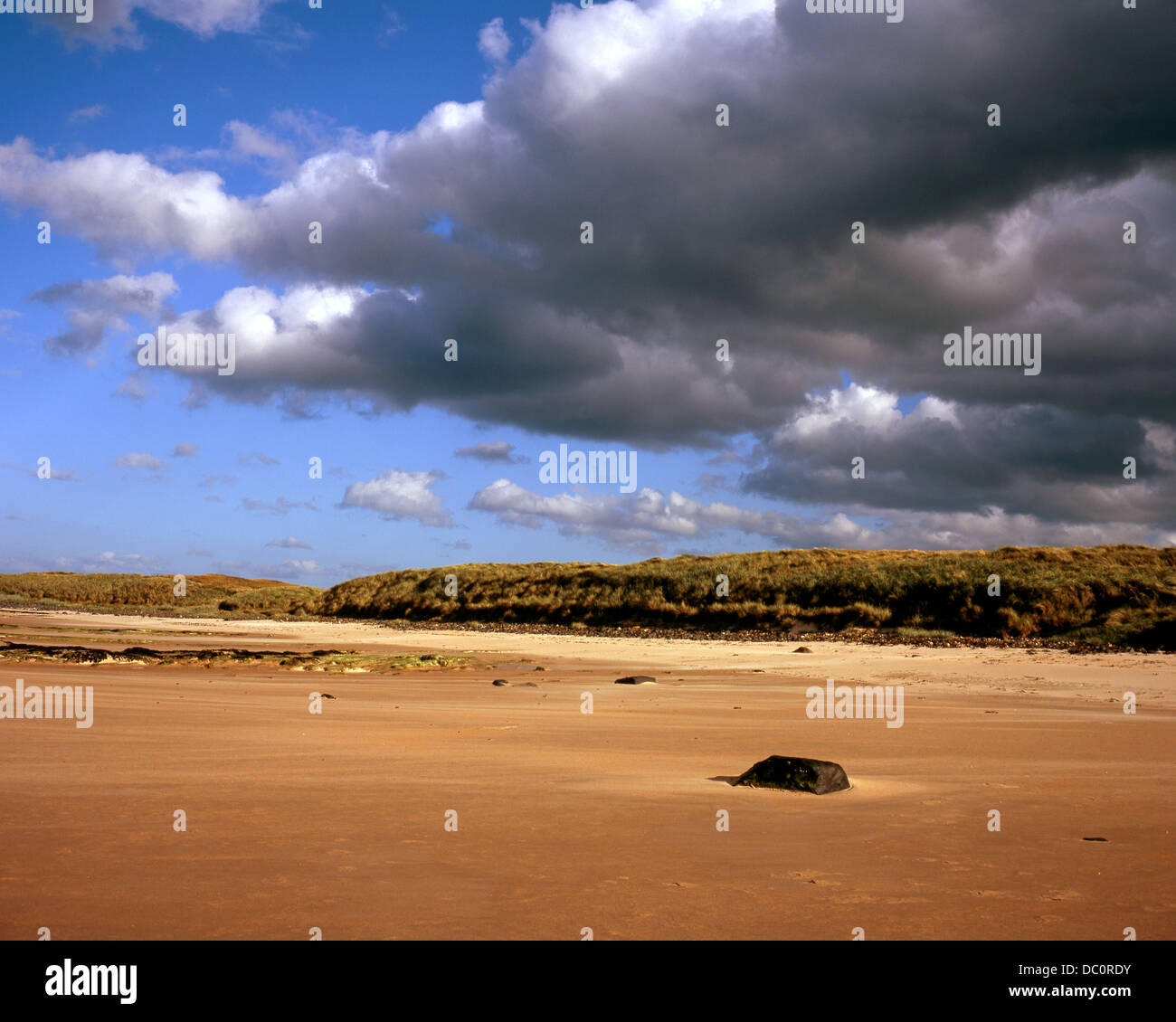 The sandy beach at Embleton Bay Embleton Northumberland England Stock ...