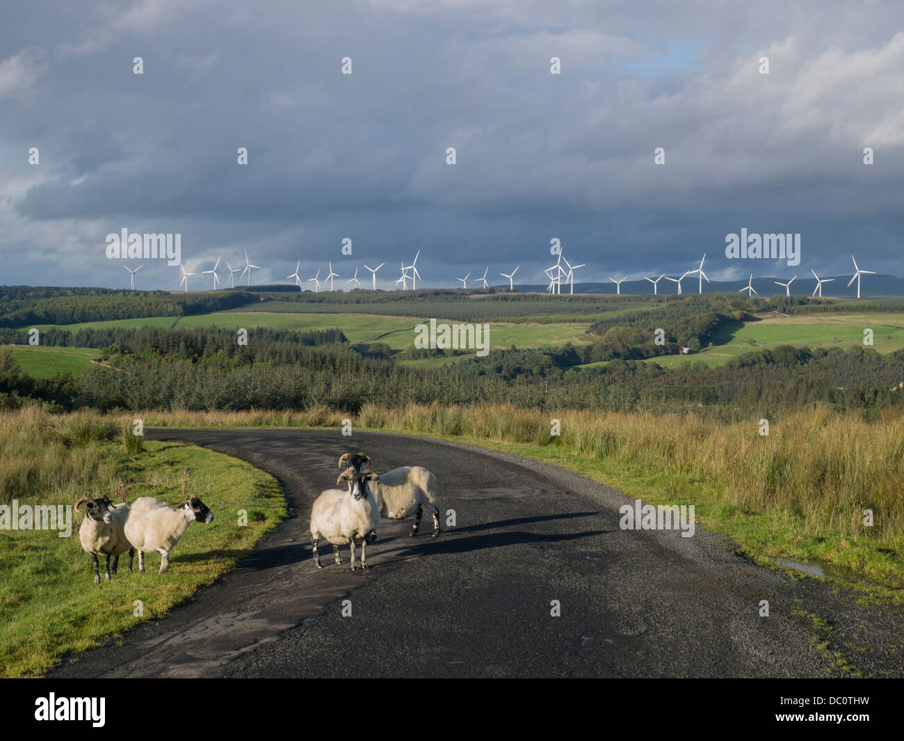 Wind Farm New Luce Stock Photo - Alamy