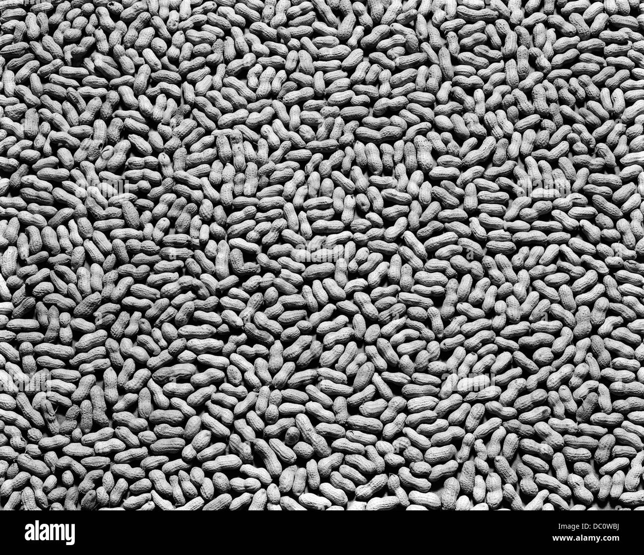 PATTERN OF PEANUTS IN SHELLS Stock Photo - Alamy