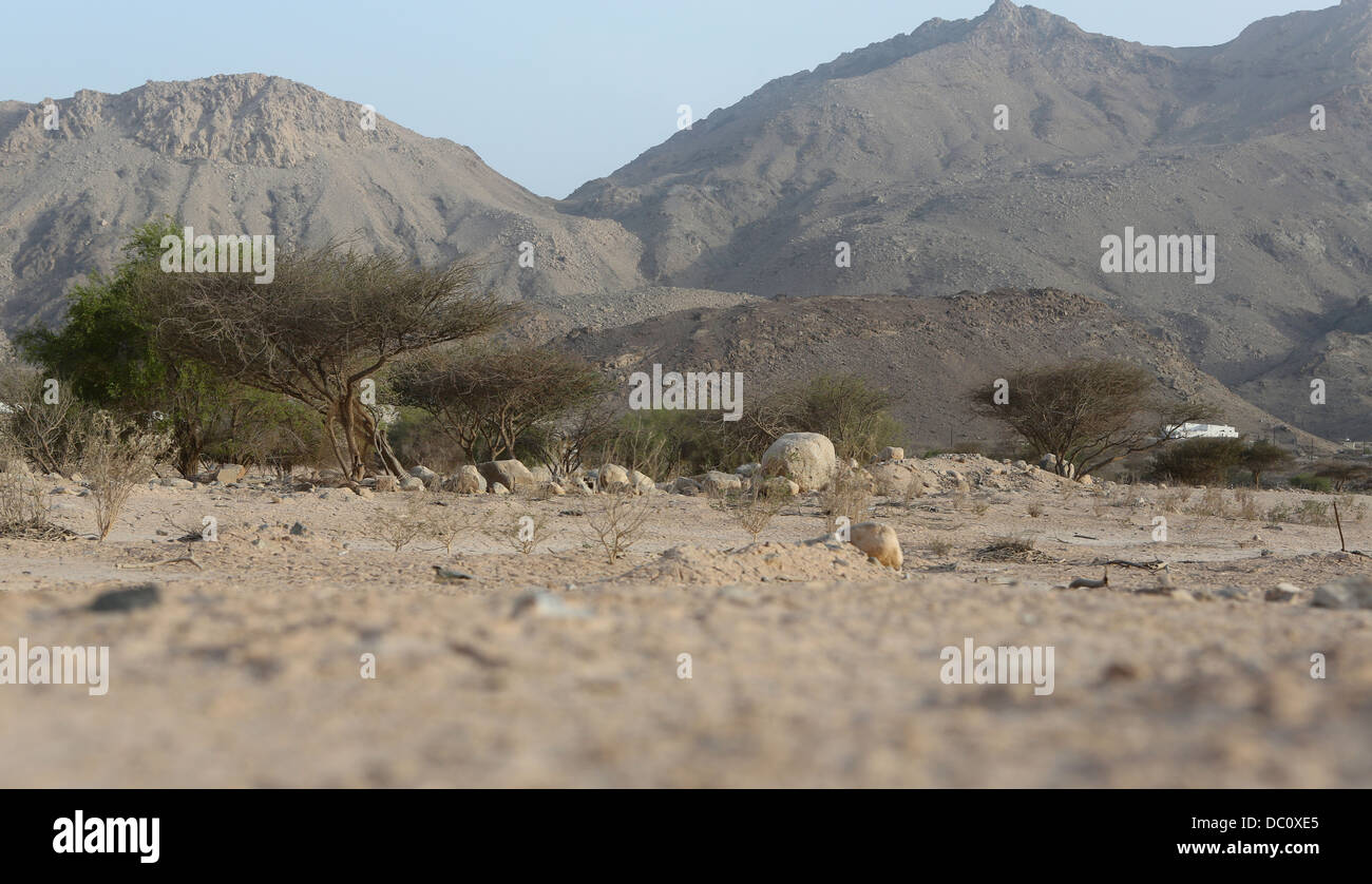 Hajjar mountains hi-res stock photography and images - Alamy