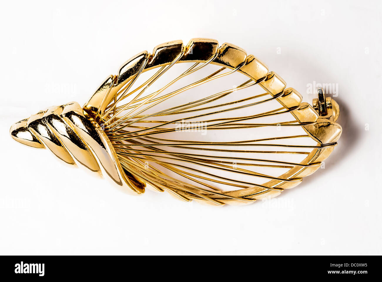 gold wire sea shell broach pin Stock Photo - Alamy