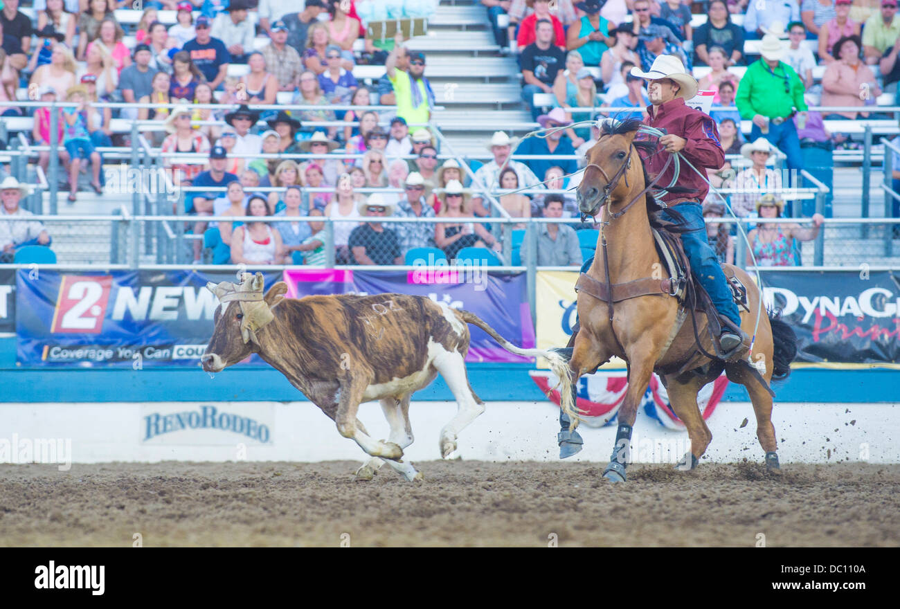 Cowboy Participant in a Calf roping Competition at the Reno Rodeo ...