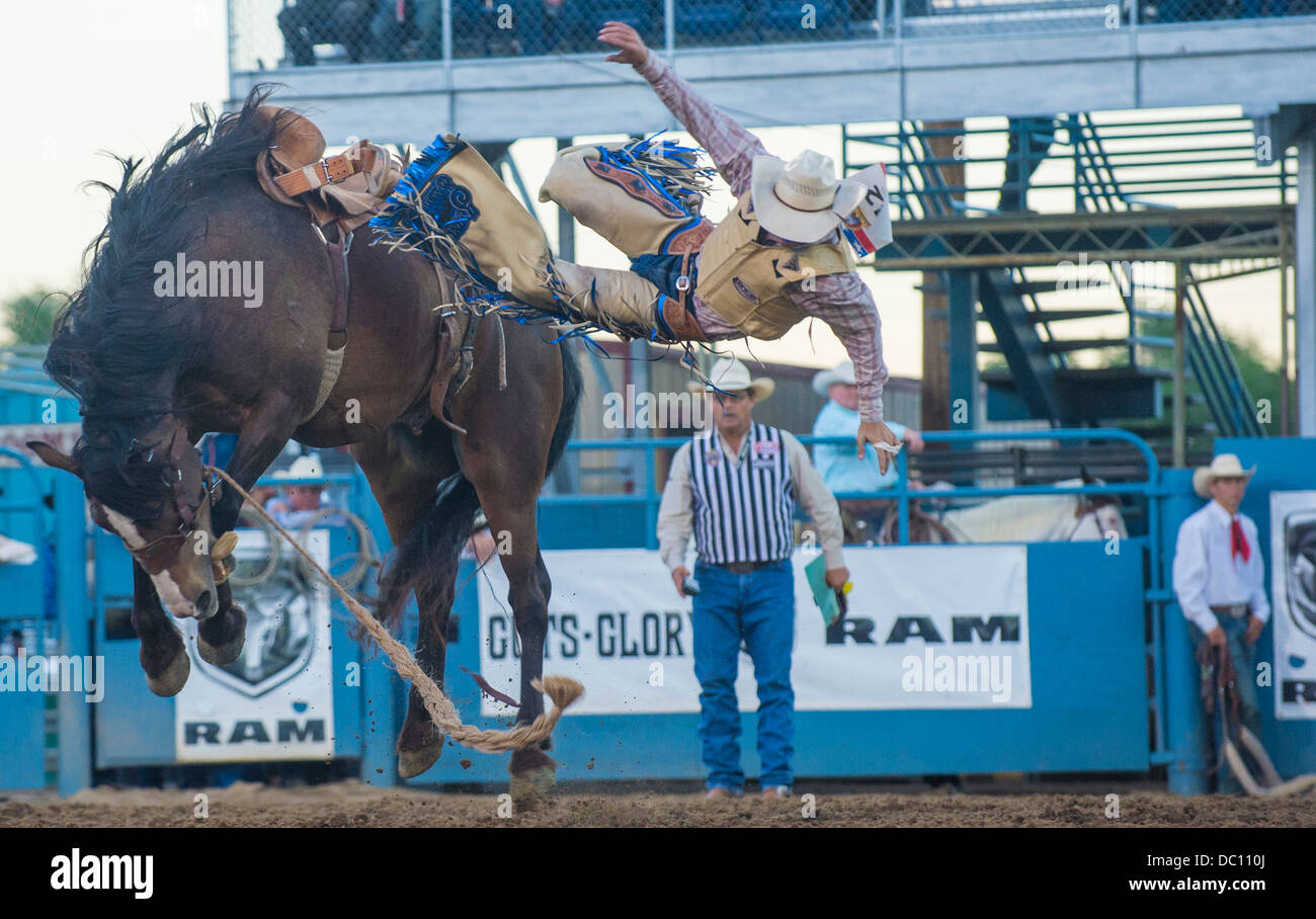 Cowboy Participant in a Bucking Horse Competition at the Reno Rodeo ...