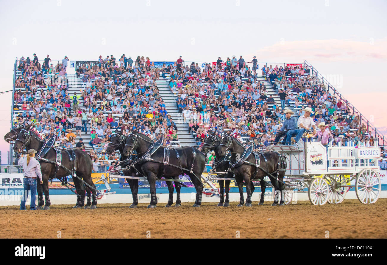 Mule drawn wagon hi-res stock photography and images - Alamy