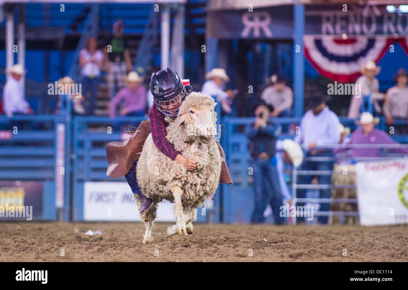 A boy riding on a sheep during a Mutton Busting contest at the Reno ...