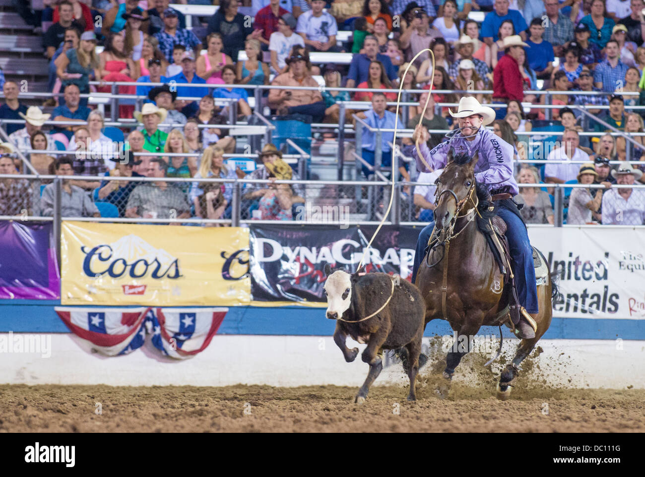 Cowboy Participant in a Calf roping Competition at the Reno Rodeo ...
